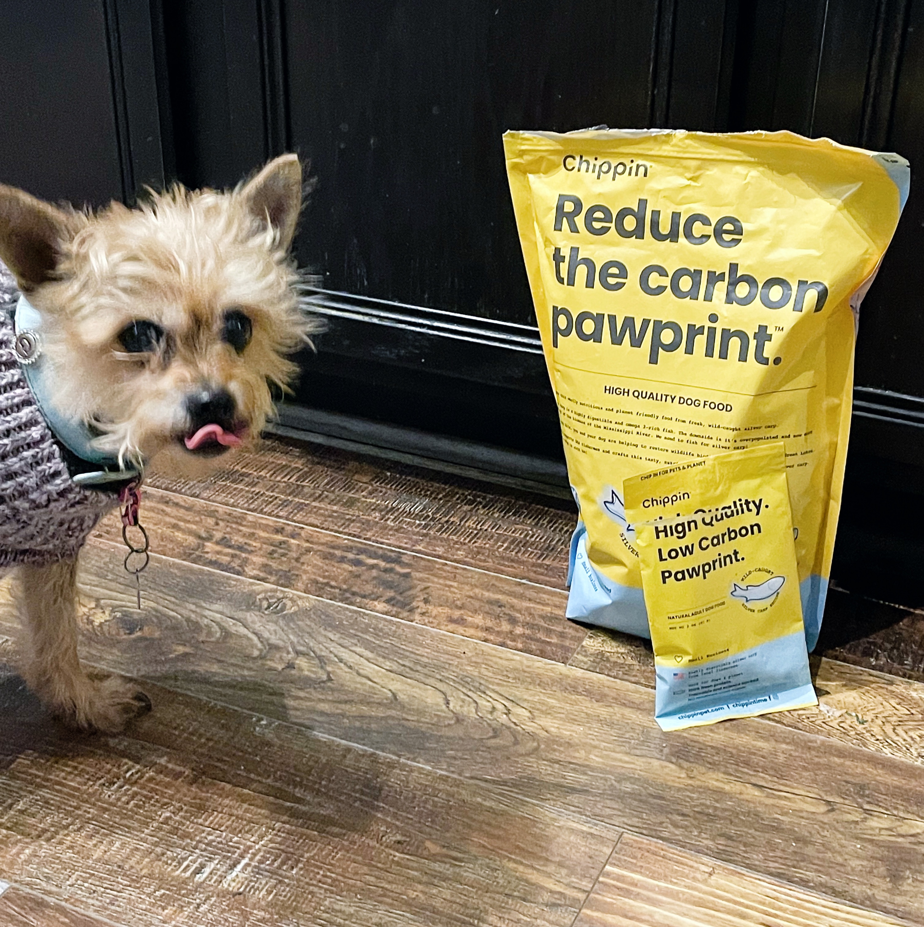 Chippin Sustainable Pet Food And Treats - Inspiring Momma